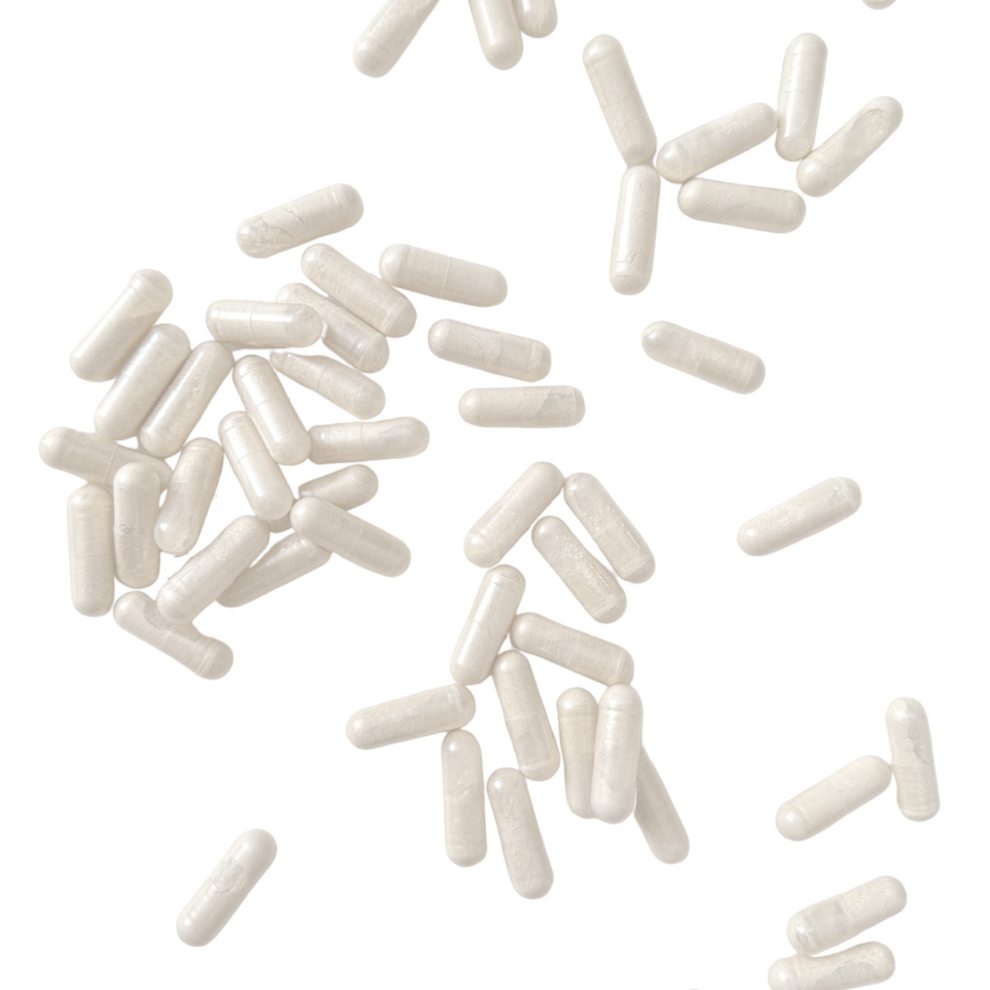 Slm Night – pwrlab